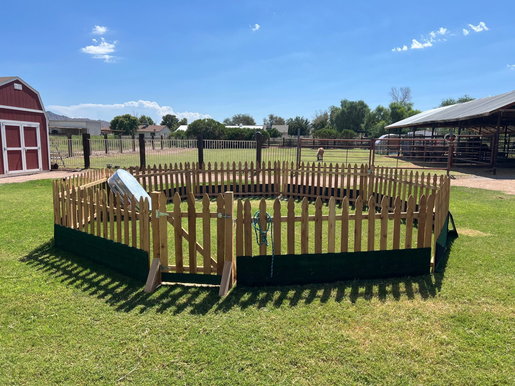 Mobile Petting Zoo in Arizona | Farm Animals for Parties & Events